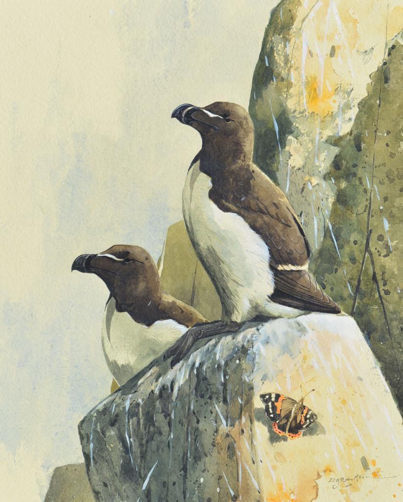 Open Studios North Fife